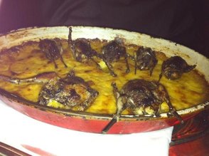 Ortolan polls & surveys | YouGov