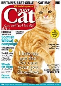 Your Cat polls & surveys | YouGov