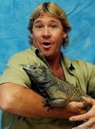 Steve Irwin popularity & fame | YouGov