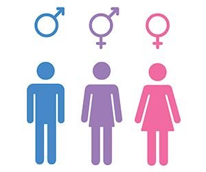 Gender polls & surveys | YouGov