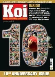 Koi Magazine polls & surveys | YouGov